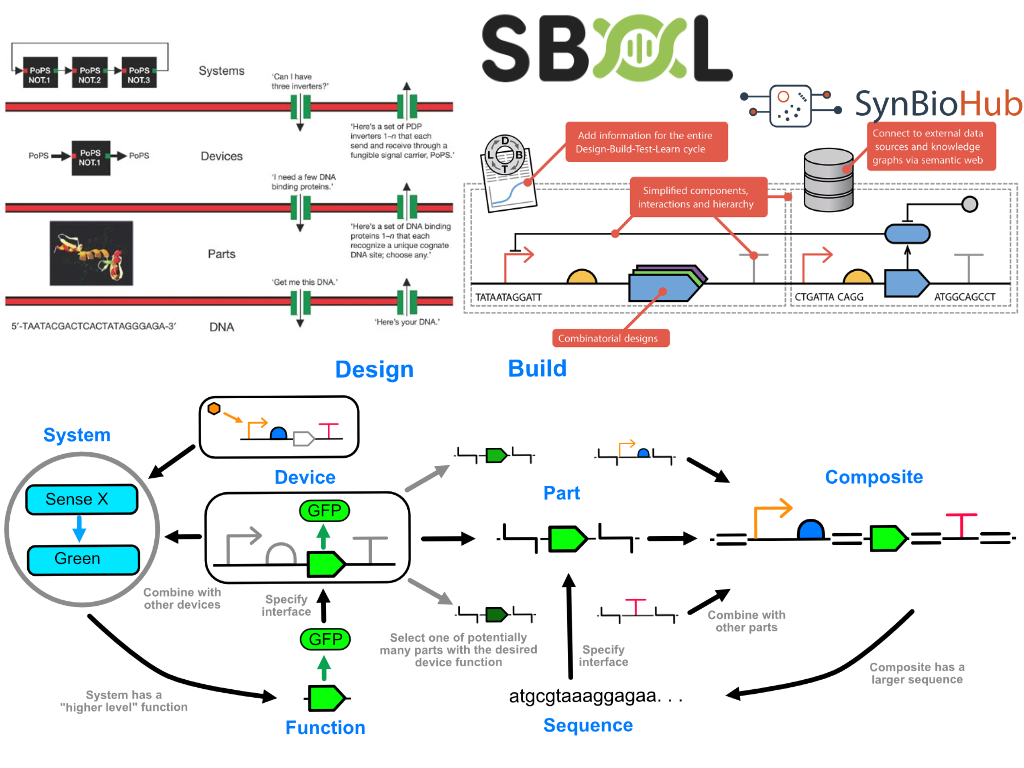 🏗️🧬 Synthetic Biology foundations and infrastructure | Gonzalo Vidal