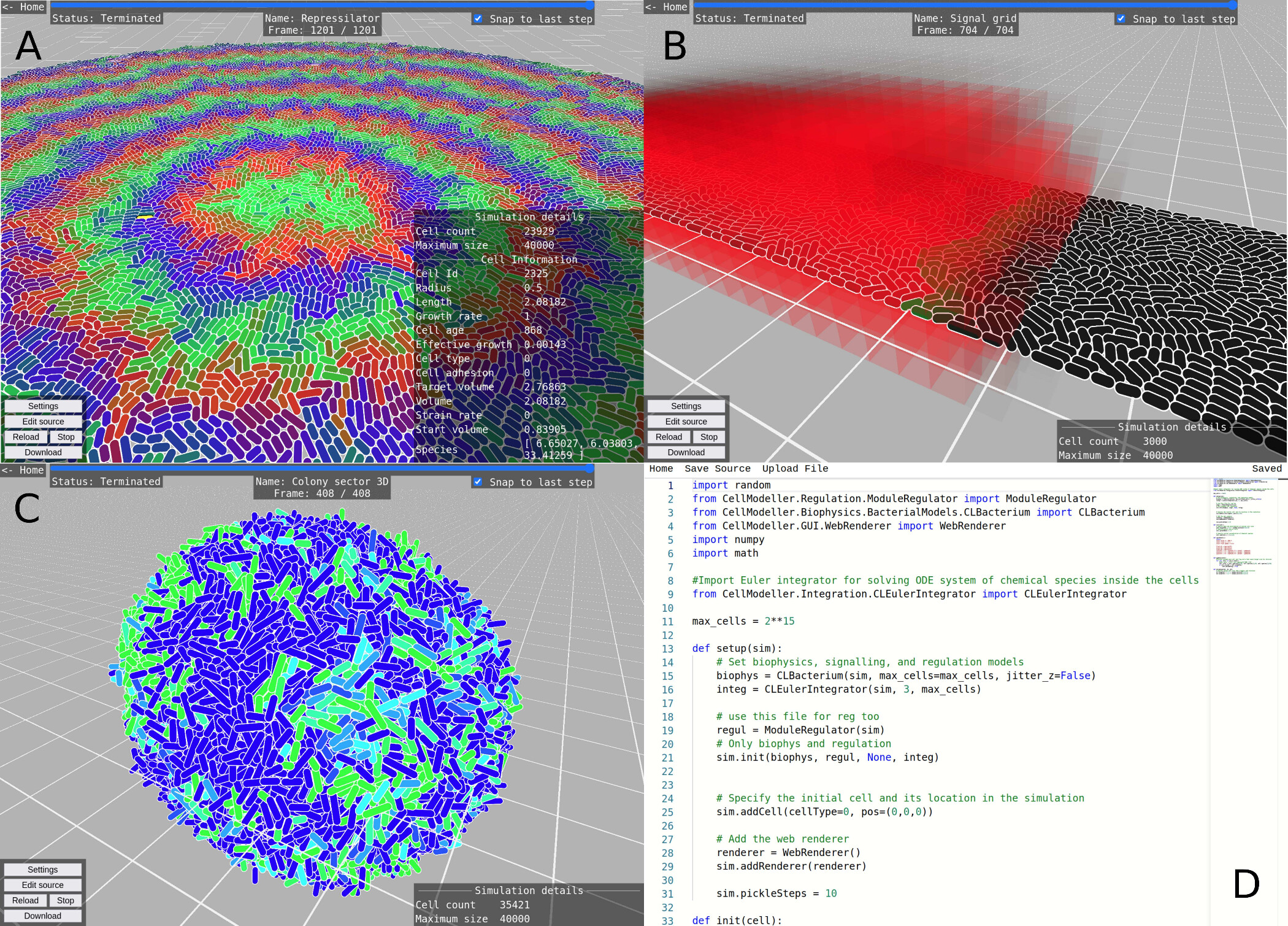 ⚙️🦠 Biophysical and biochemical simulation engines | Gonzalo Vidal